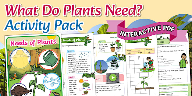 What Do Plants Need? Interactive PDF Activity Pack