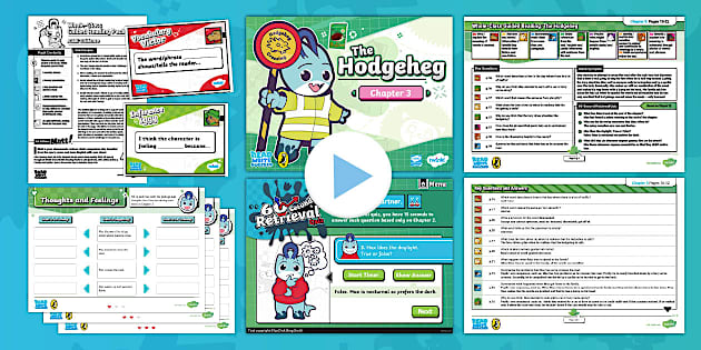 FREE! - The Hodgeheg Whole-Class Guided Reading: Chapter 3 [LKS2]