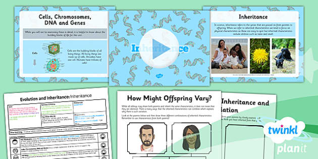 Science: Evolution and Inheritance: Inheritance Year 6 Lesson Pack 1
