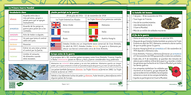 Organizador de conocimientos: La Primera Guerra Mundial