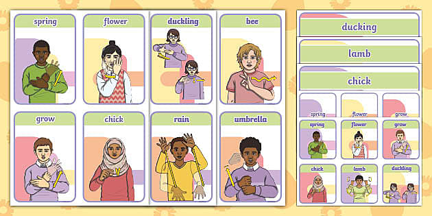 BSL Spring Resource Pack (Teacher-Made) - Twinkl