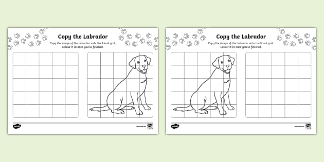 Copy the Labrador Worksheet