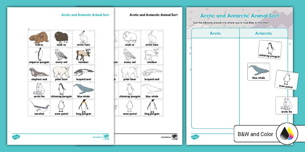 Arctic and Antarctic Animal Sort Worksheet for K-2nd Grade