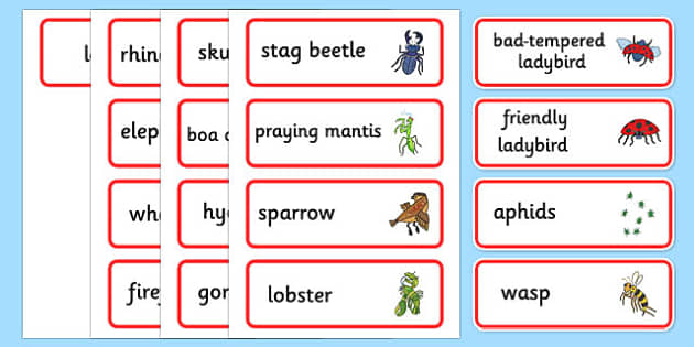 FREE! - Word Cards to Support Teaching on The Bad Tempered Ladybird