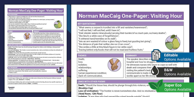 Norman MacCaig One-Pager: Visiting Hour (teacher made)