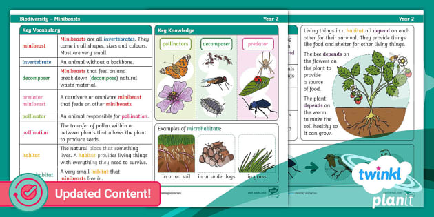 KS1 Minibeasts Knowledge Organiser | Year 2 | Science KS1 Minibeasts Knowledge Organiser | Year 2 | Science