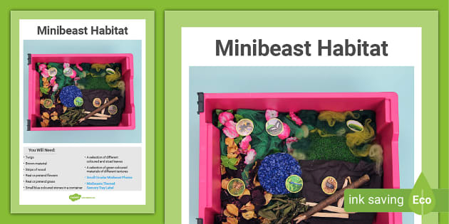 Minibeasts Sensory Tray Card (teacher made) - Twinkl