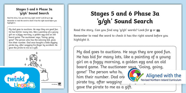 Northern Ireland Linguistic Phonics 3a 'g/gh' Sound Search Worksheet