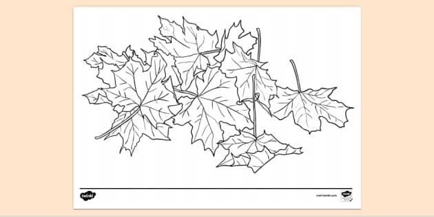Autumn Colouring Page for Early Years - Twinkl