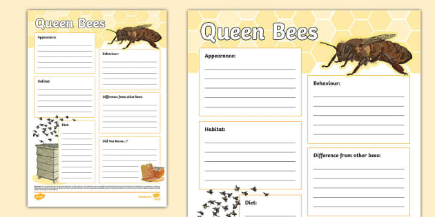 Queen Bees Fact File Template (teacher made) - Twinkl