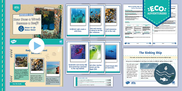 Year 3 Lesson 5 - When Does a Wreck Become a Reef? - Twinkl