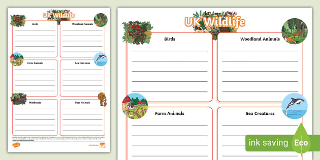 UK Wildlife Fact File Template,British Wildlife - Twinkl