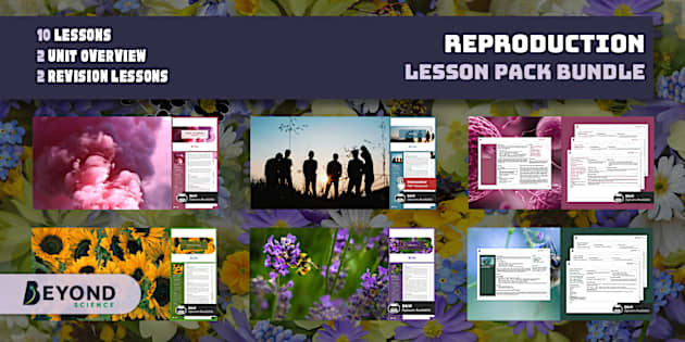 KS3 Reproduction Lesson Pack Bundle