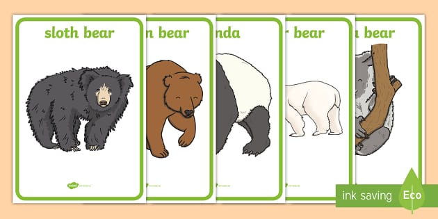 FREE! - Bears Display Posters (teacher made) - Twinkl