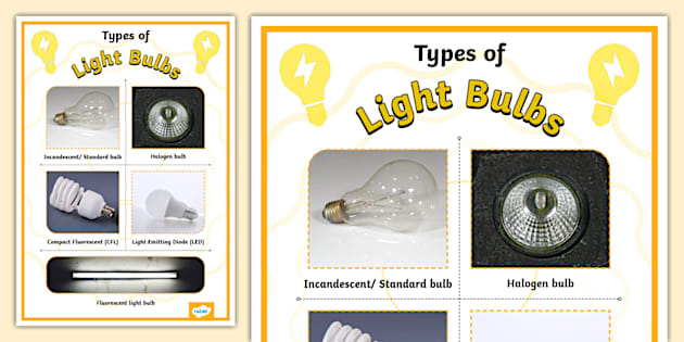 Grade 6: Energy and Change - Types of Light Bulbs Poster