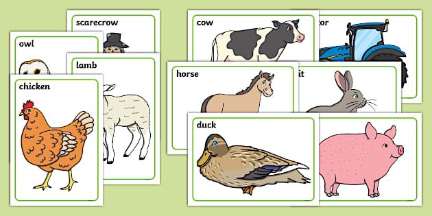 On the Farm Movement Picture Cards | Twinkl (teacher made)