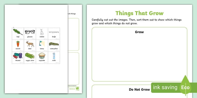 Things That Grow Sorting Activity (professor feito) - Twinkl