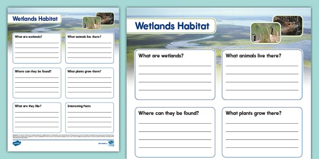 Wetlands Habitat Fact File Template (creat de profesori)