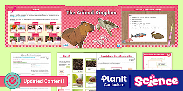 * NEW * Y6 Living Things and Their Habitats The Animal Kingdom Lesson 2
