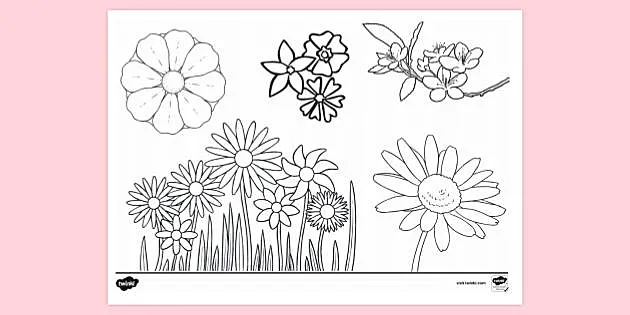 Plant Colouring Page Hand-drawn Colouring Page PRINTABLE Adult ...