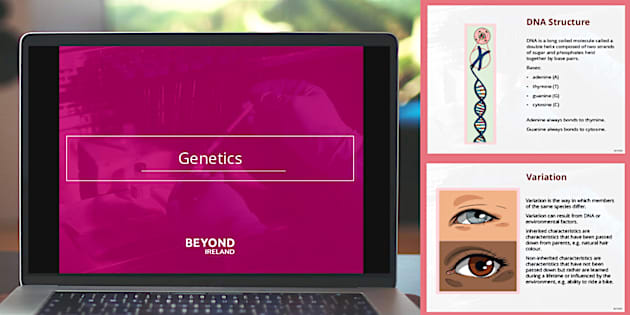 Genetics PowerPoint