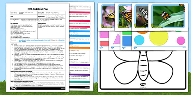 Butterfly Shape Matching EYFS Adult Input Plan and Resource Pack - plan