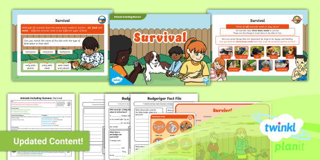 Survival Lesson Plans | Science | Year 2 Lesson 4 | Twinkl