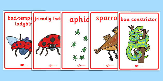 FREE! - Display Posters to Support Teaching on The Bad Tempered Ladybird