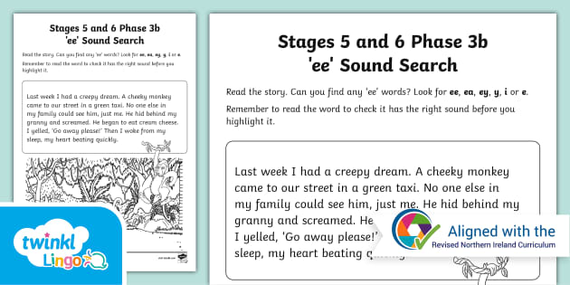 Northern Ireland Linguistic Phonics 3b 'ee' Sound Search Worksheet