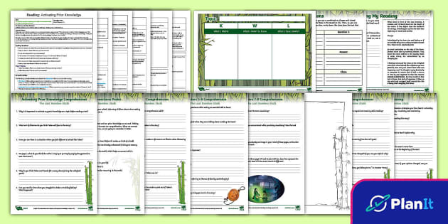 Year 6 The Last Bamboo Stalk: Reading Unit Pack - Twinkl