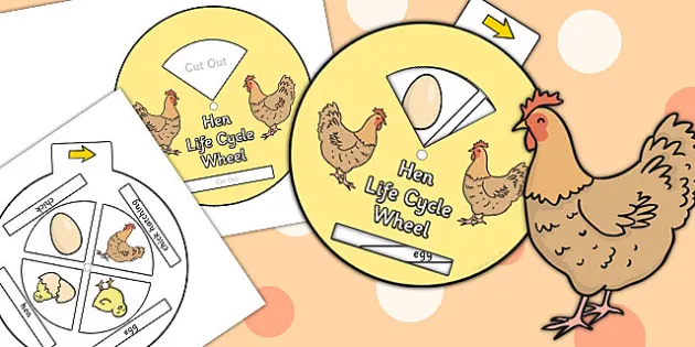 Chicken Life Cycle Craft