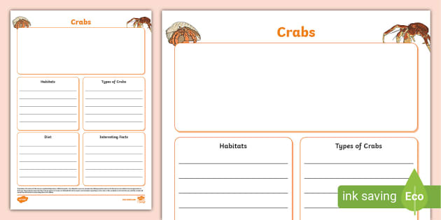 Crabs Fact File Template, crab fact file (teacher made)