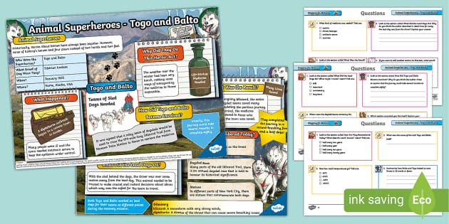 LKS2 Digging for Details: Animal Superheroes: Togo and Balto