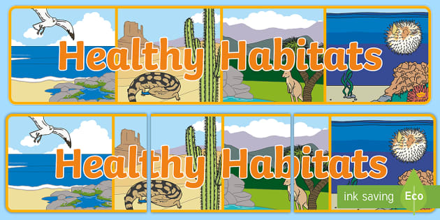 Healthy Habitats Year 1 Display Banner (teacher made)