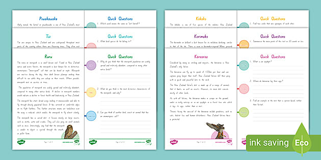 Quick Reads Activity Pack - New Zealand Birds (teacher made)