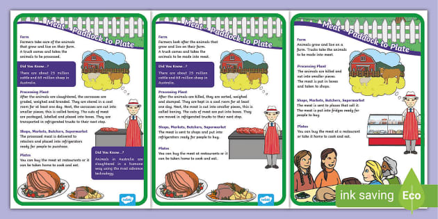 Meat Industry Poster | Food Sciences | Educational Resource