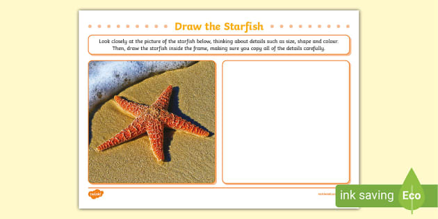 Draw the Starfish Art Activity,Starfish,Star Fish