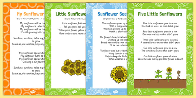 Sunflower Themed Songs and Rhymes Resource Pack