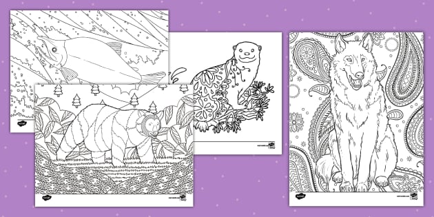 Alaska Animals Mindfulness Coloring Sheets - Twinkl