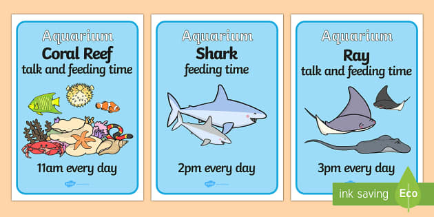 The Aquarium Feeding Times Role Play Posters (teacher made)
