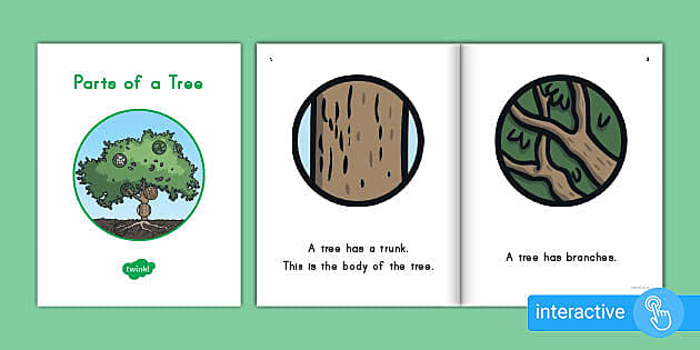 Parts of a Tree Emergent Reader eBook (teacher made)