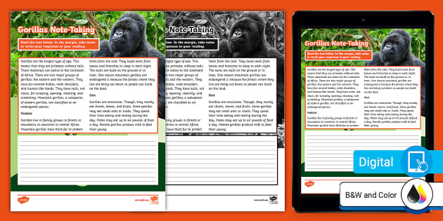 Fourth Grade Gorillas Reading and Note-Taking Activity