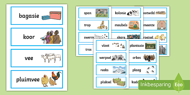 Versamelname Woordkaarte - Versamelname Examples - Twinkl