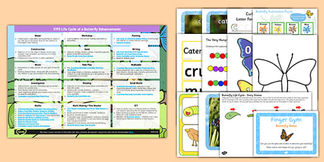 EYFS Life Cycle of a Butterfly Enhancement Ideas Resources Pack - planning