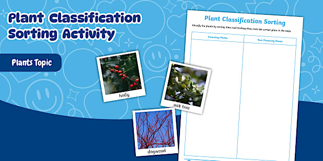 * NEW * Plant Classification Sorting Activity