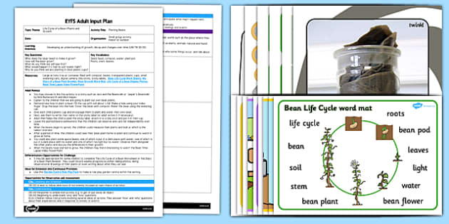 Planting Beans EYFS Adult Input Plan and Resource Pack