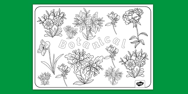 Botanical Doodle Colouring Page (teacher made) - Twinkl