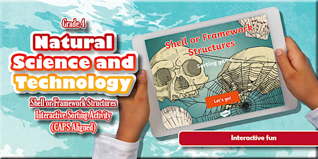 * NEW * Shell or Framework Structures Interactive Sorting Game