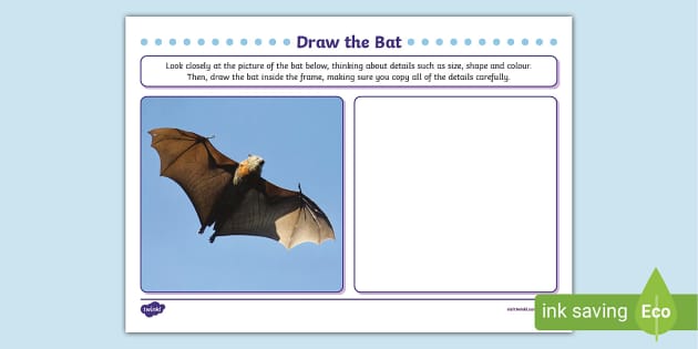 Draw the Bat Art Activity, Bat, bat art (teacher made)