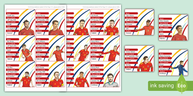 Men's World Cup Wales Team Stickers